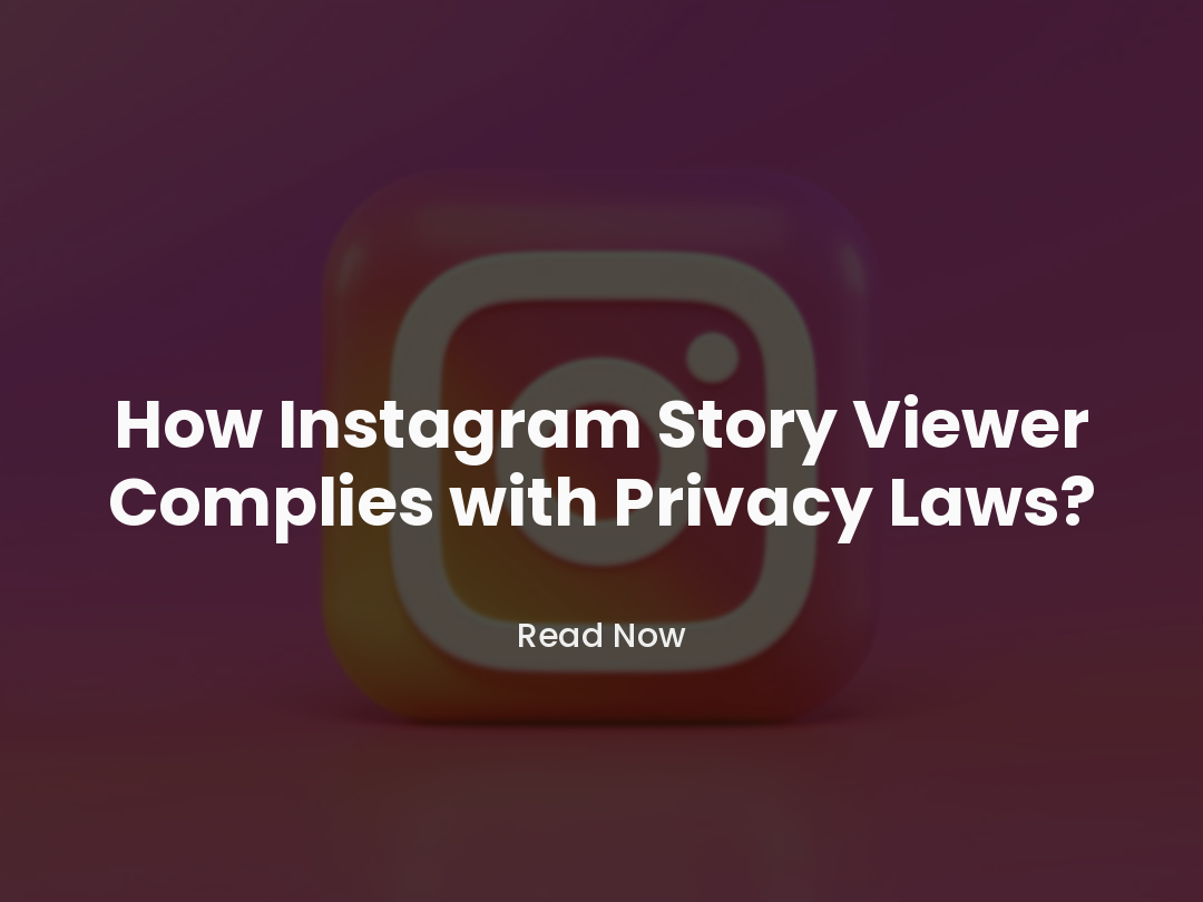 How Does Instagram Story Viewer Complies with Privacy Laws? - carla diab